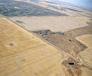 A Comparison of Trenched Distributed Acoustic Sensing (DAS) to Trenched ...