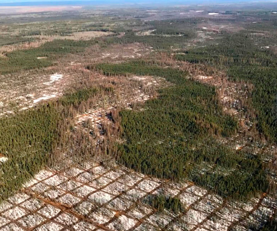 The COSIA Land Innovation Opportunity: Seeking Innovators to Develop ...